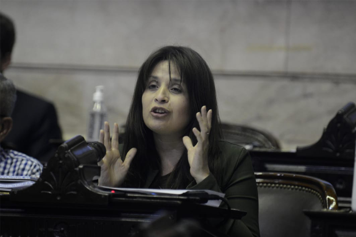Ley Bases: Caliva denunció un pacto entre Sáenz y Milei | OPINORTE.com.ar
